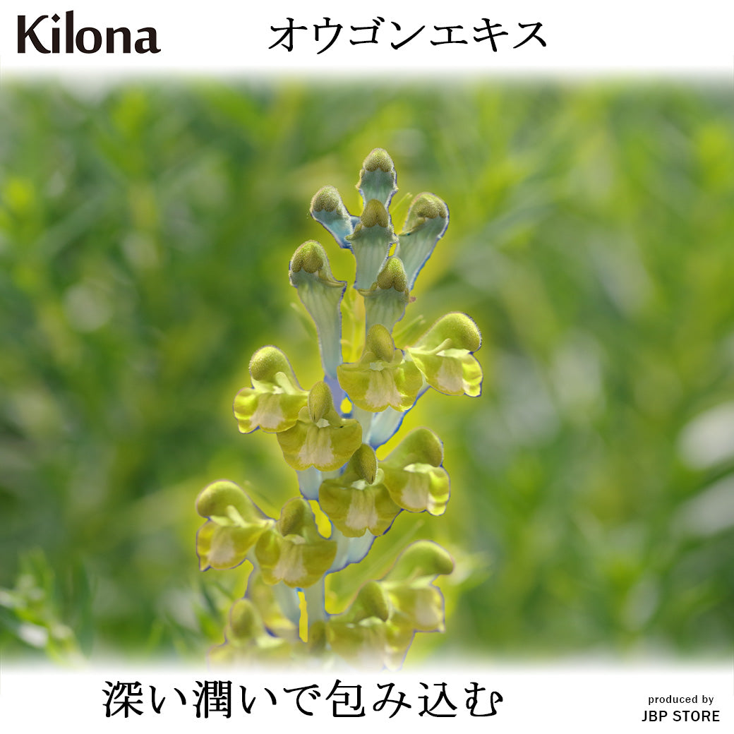 オウゴンエキスの美容効果 – JBP STORE